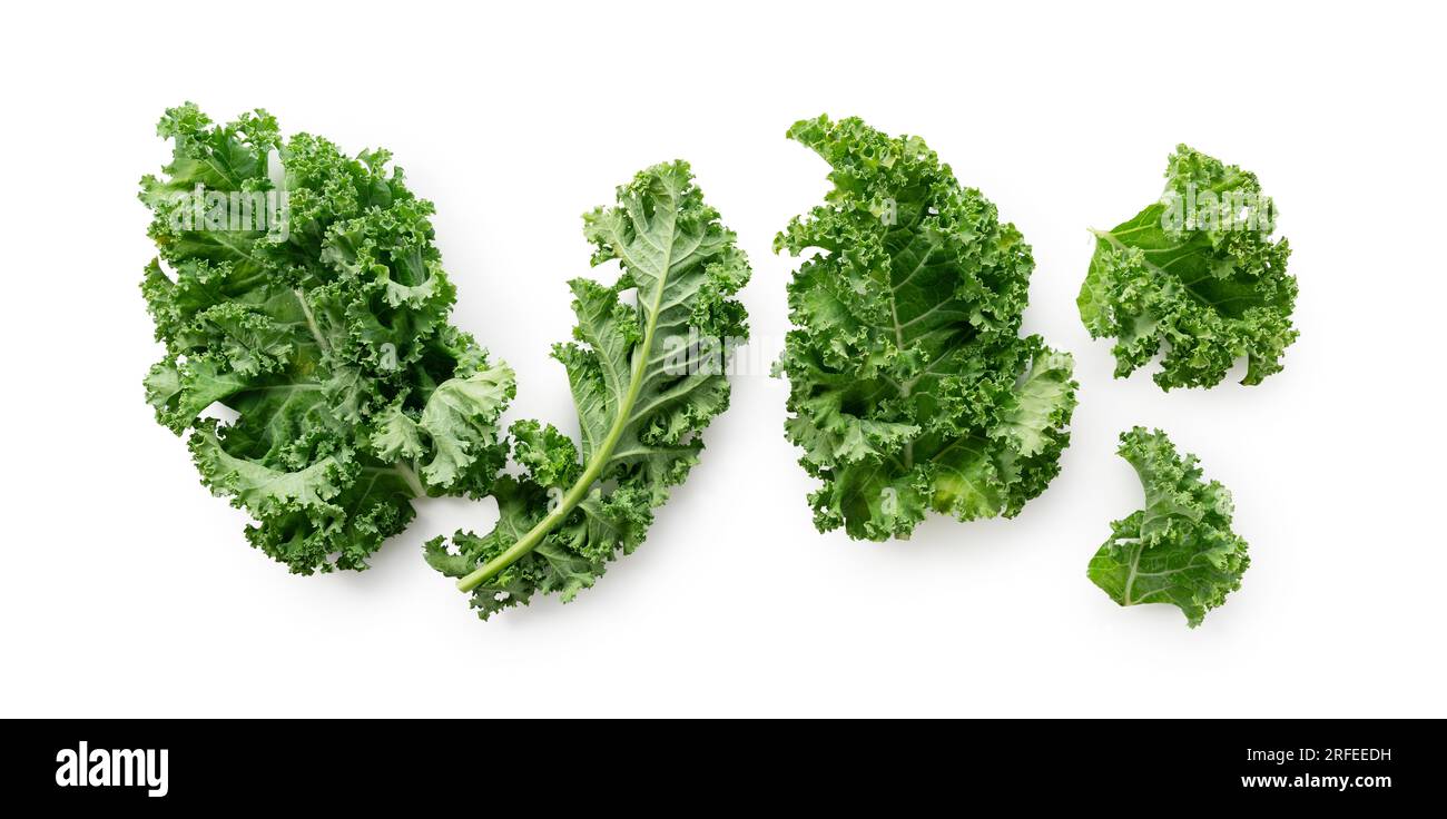 Kale top view Cut Out Stock Images & Pictures - Alamy