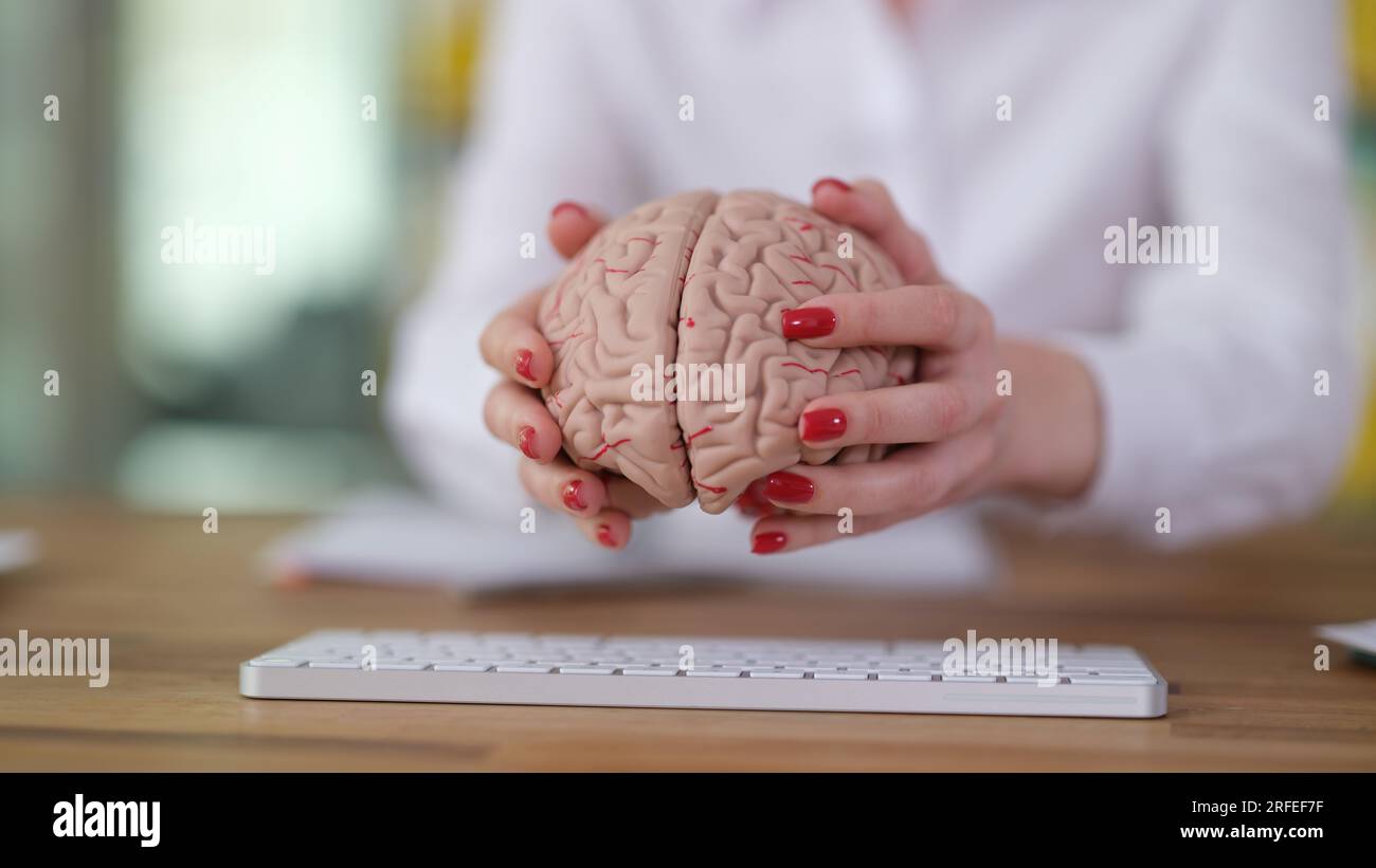 Programmer manager puts brain anatomy on computer keyboard Stock Photo ...