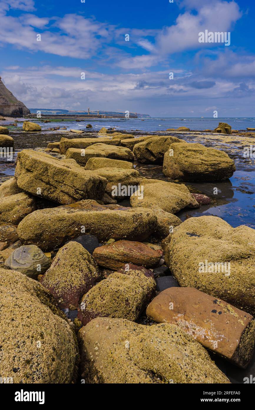 The foot of the cliffs in the east beach in Whitby is lettered with ...