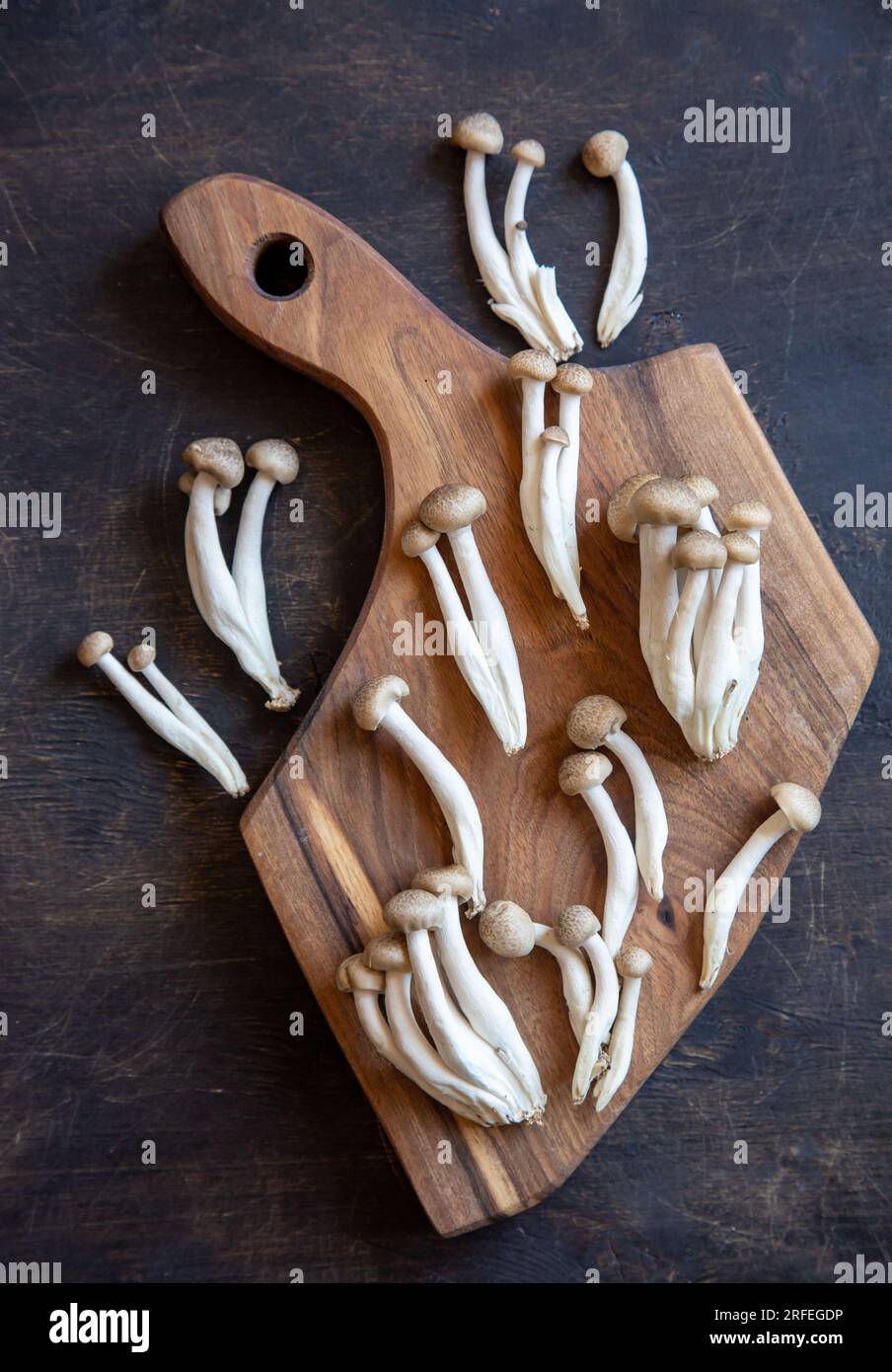 Cluster of fresh brown shimeji mushrooms close up. shimeji mushrooms on ...