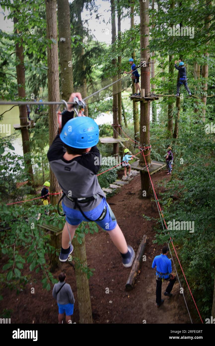 Young boy on treetop zip line Stock Photo - Alamy