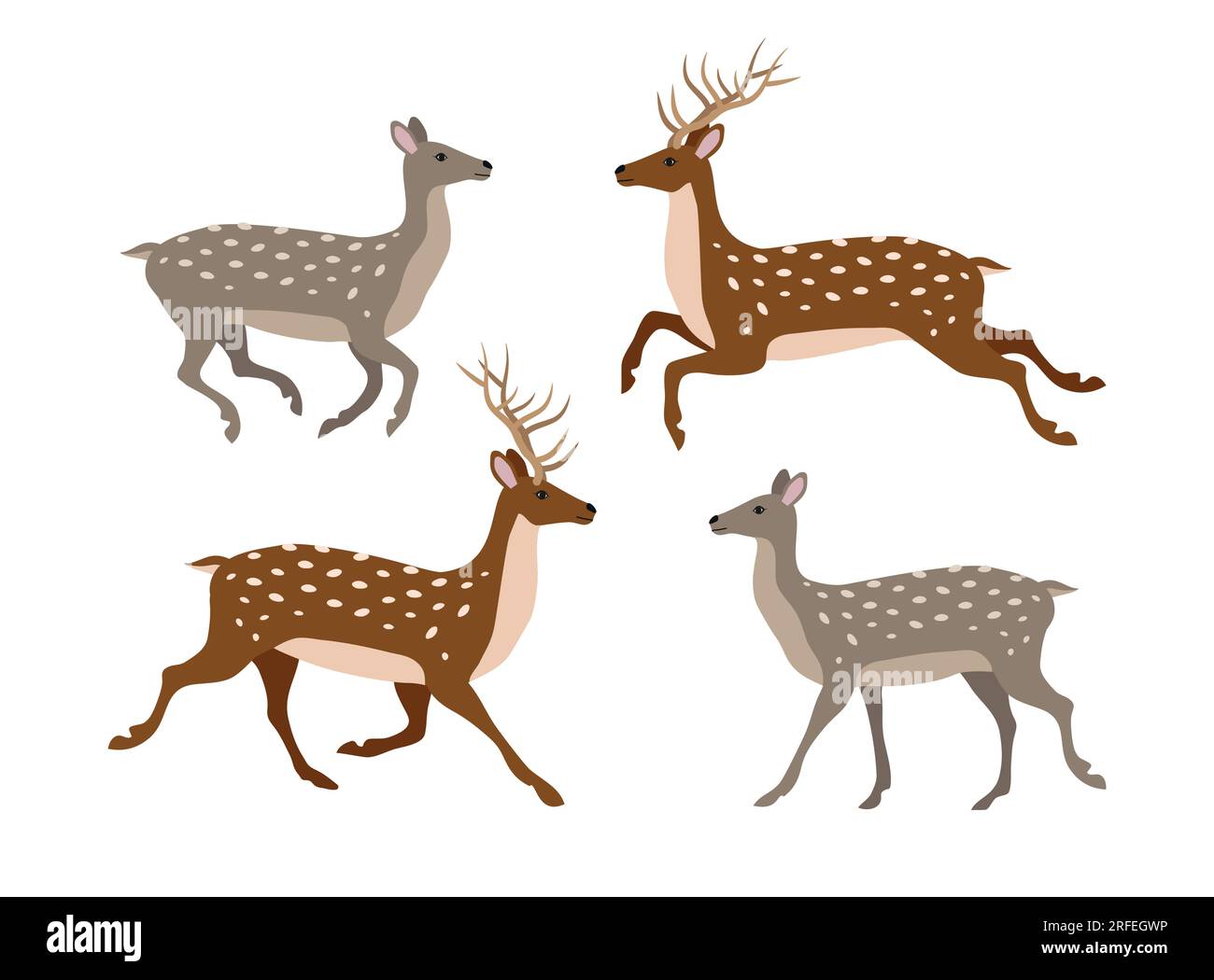 Vector set of flat hand drawn deer isolated on white background Stock ...