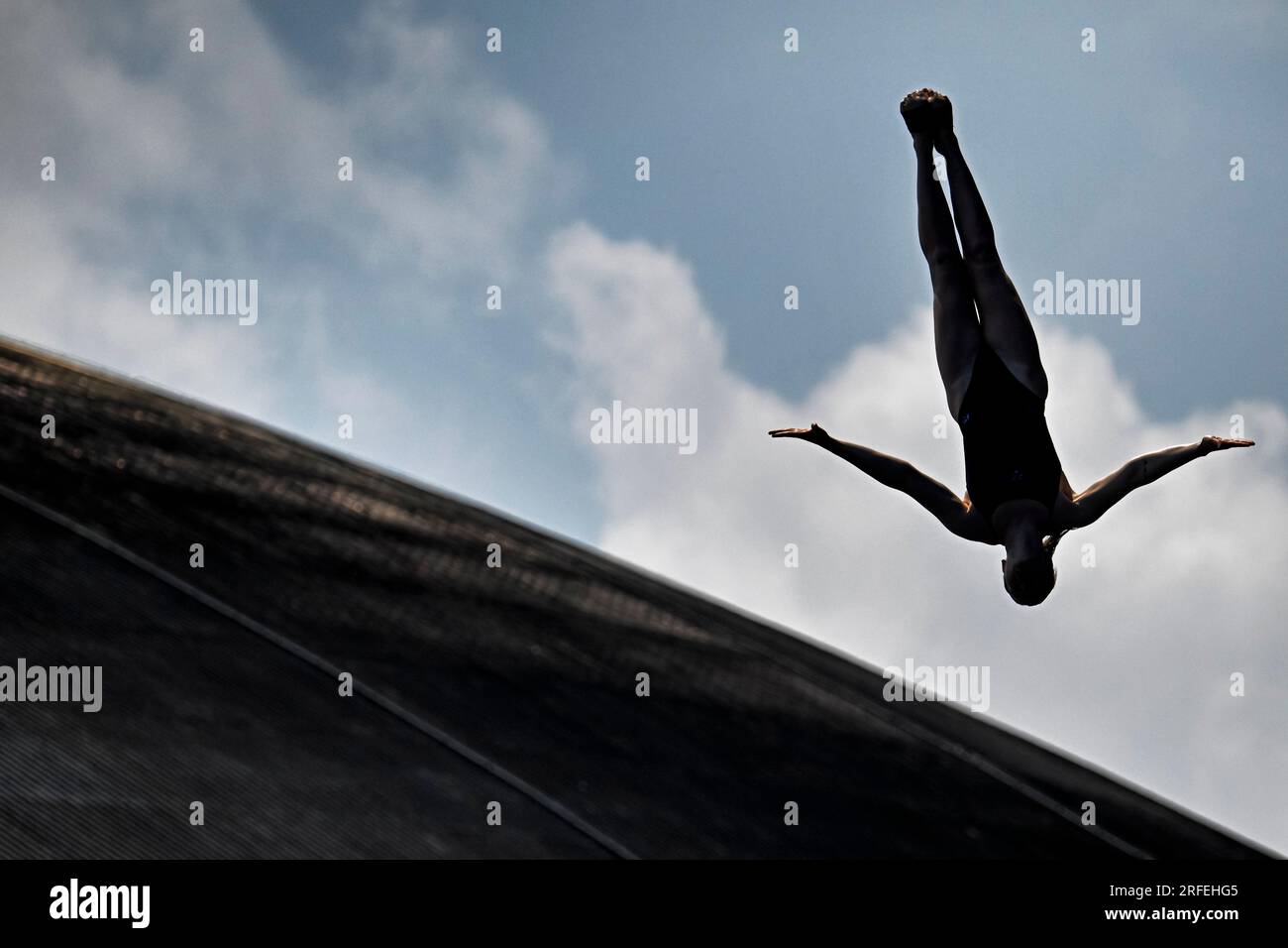 A diver warms up before the High Diving 20m women during the 20th World ...