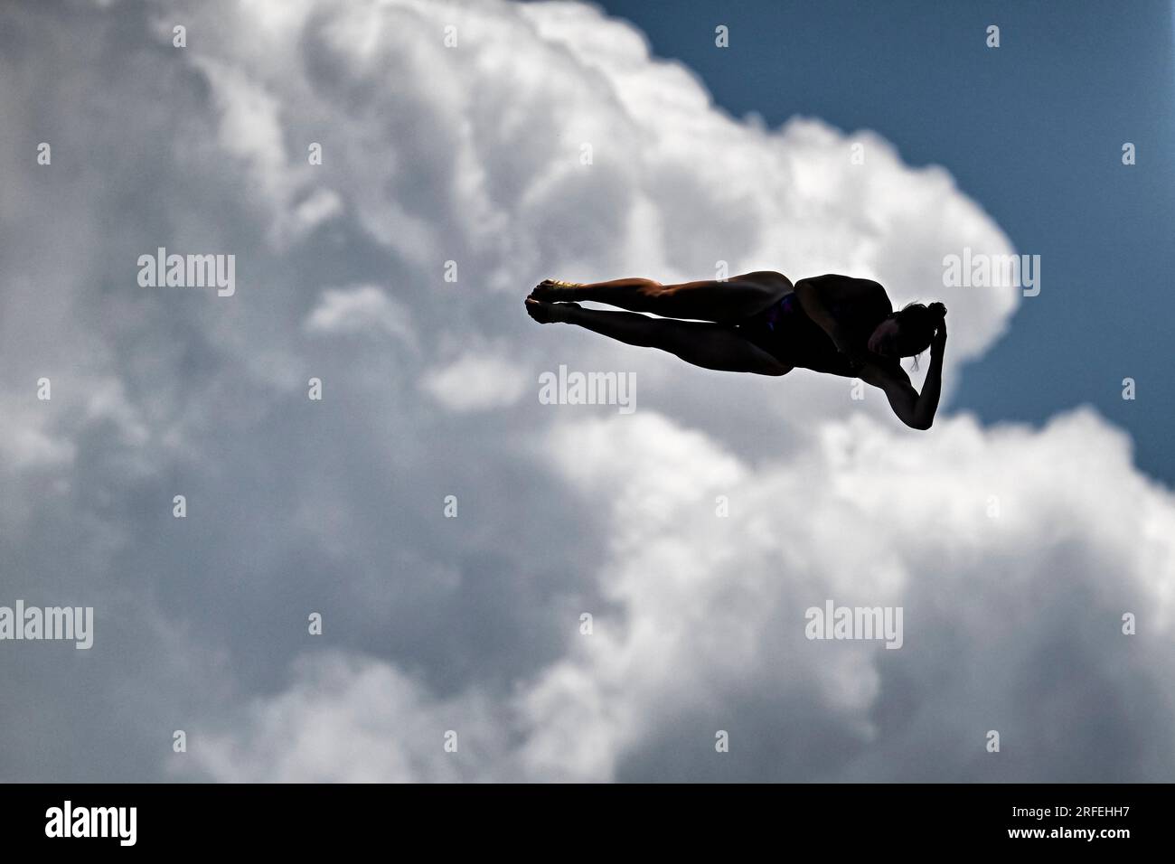 Susanna Fish of United States of America competes in the High Diving ...