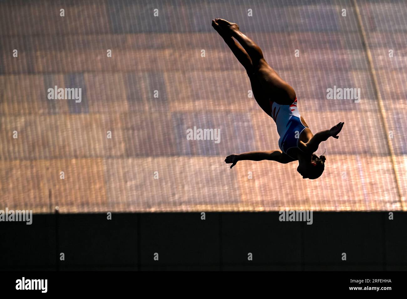 Madeleine bayon hi-res stock photography and images - Alamy