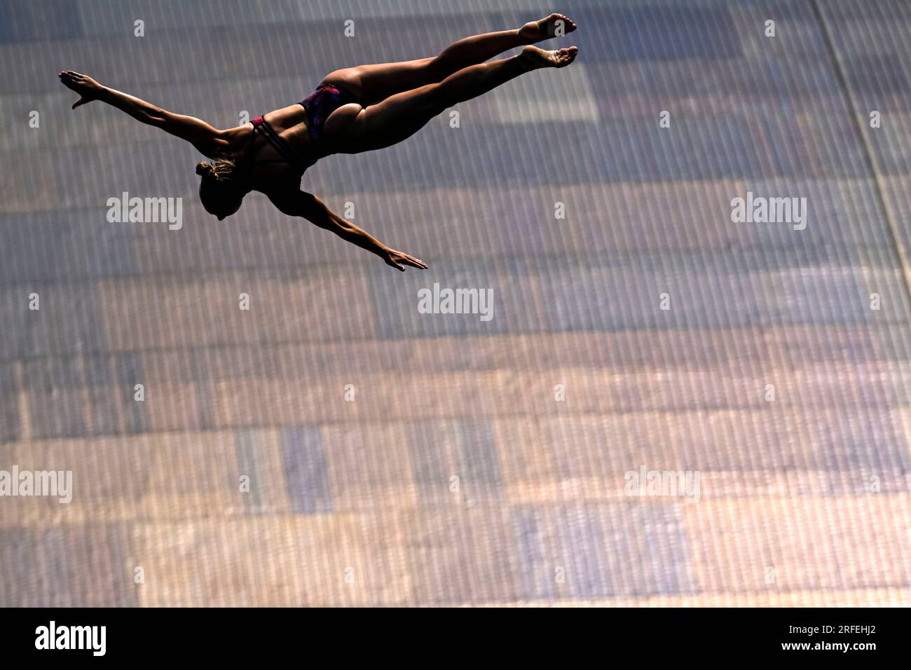 Susanna Fish of United States of America competes in the High Diving ...