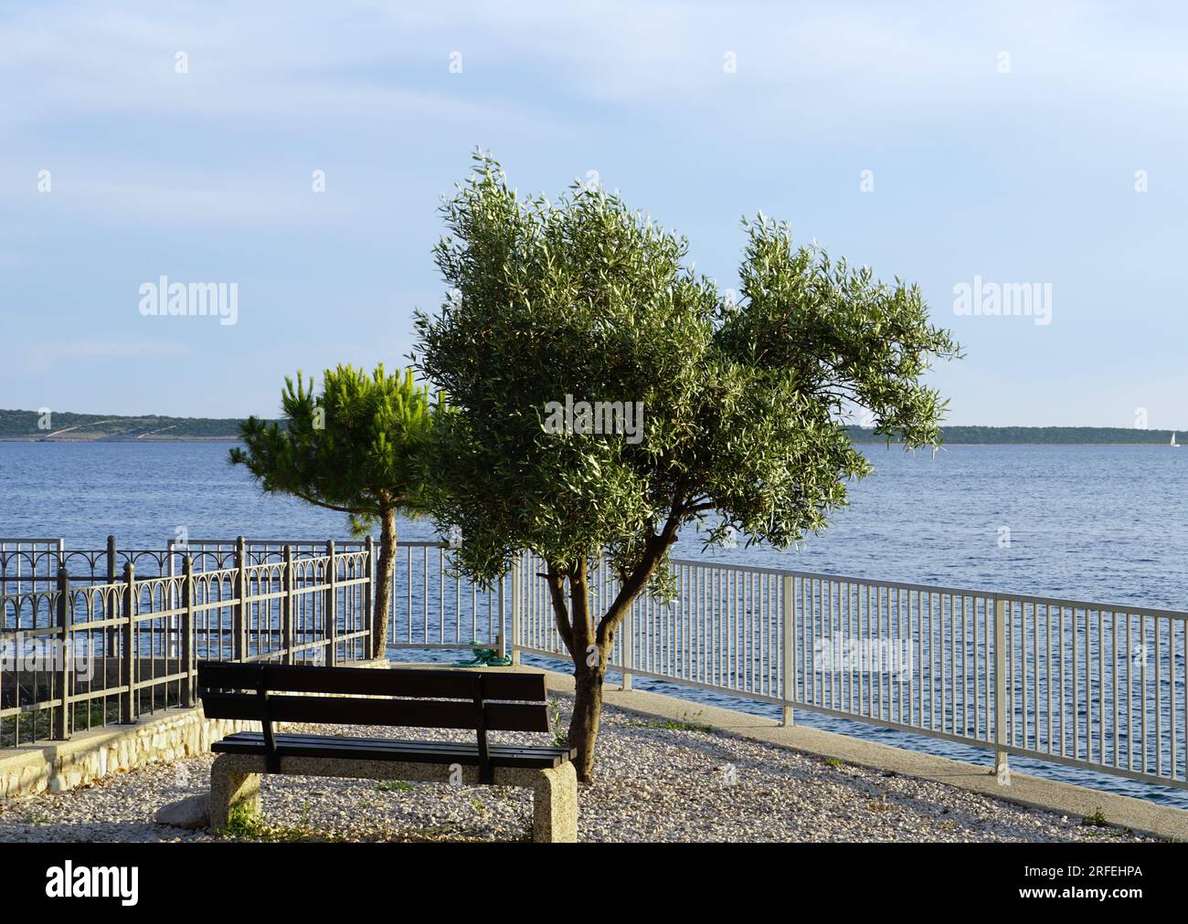 Natural olive tree view hi-res stock photography and images - Alamy