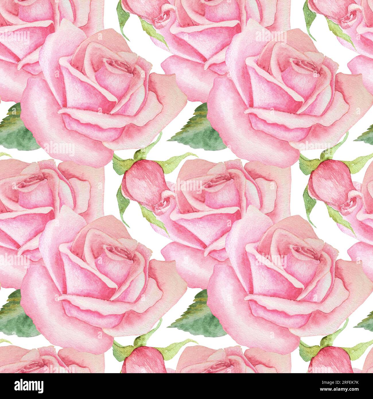 Seamless pattern with roses. Watercolor hand drawn illustration ...