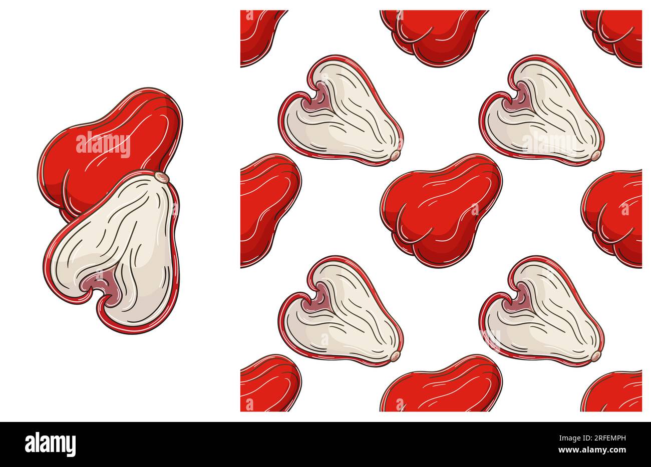 Seamless pattern with tropical fruits. Set in hand draw style. Rose ...