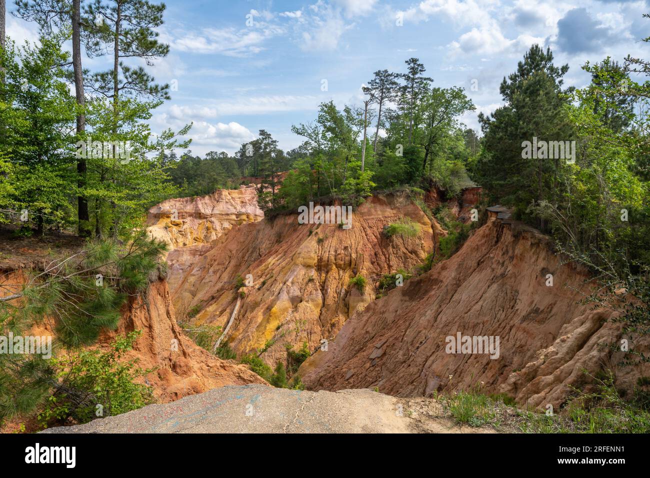 Red Bluff (a.k.a. Mississippi’s Little Grand Canyon), in Red Bluff ...