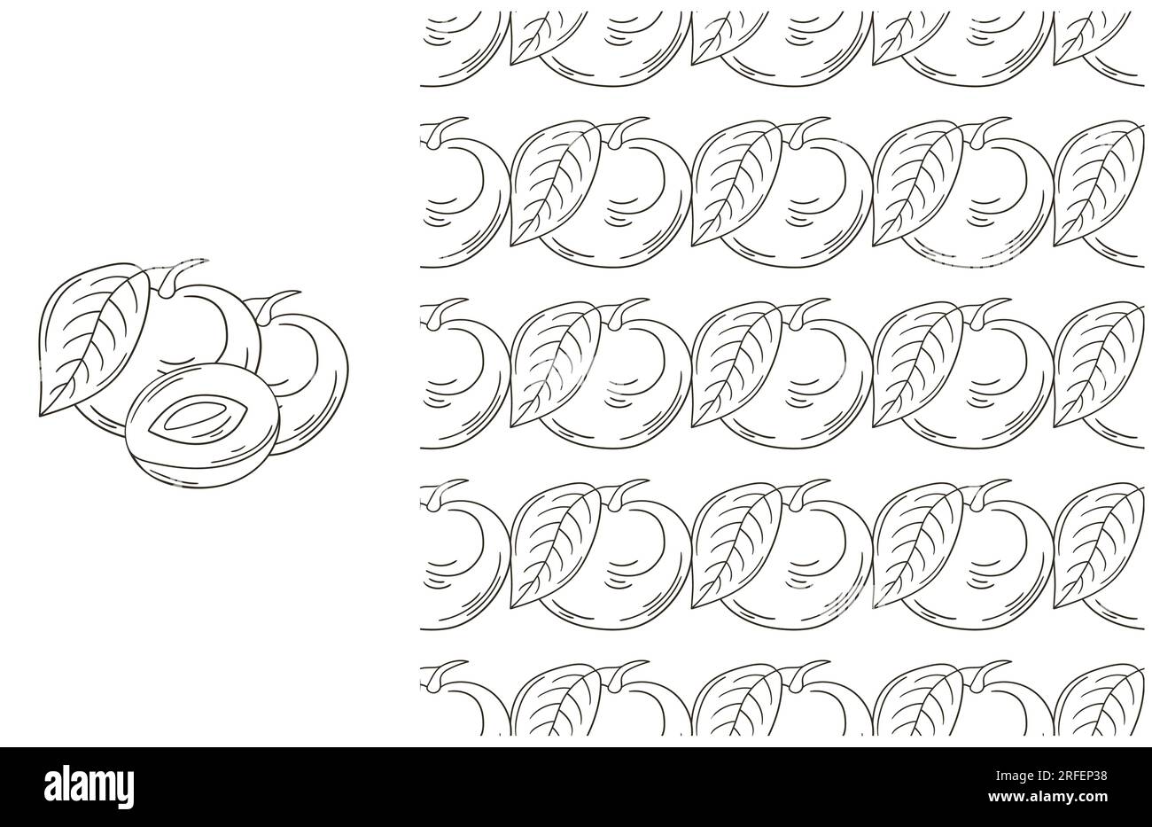 Coloring pattern with tropical fruits. Longan. Set in hand draw style ...