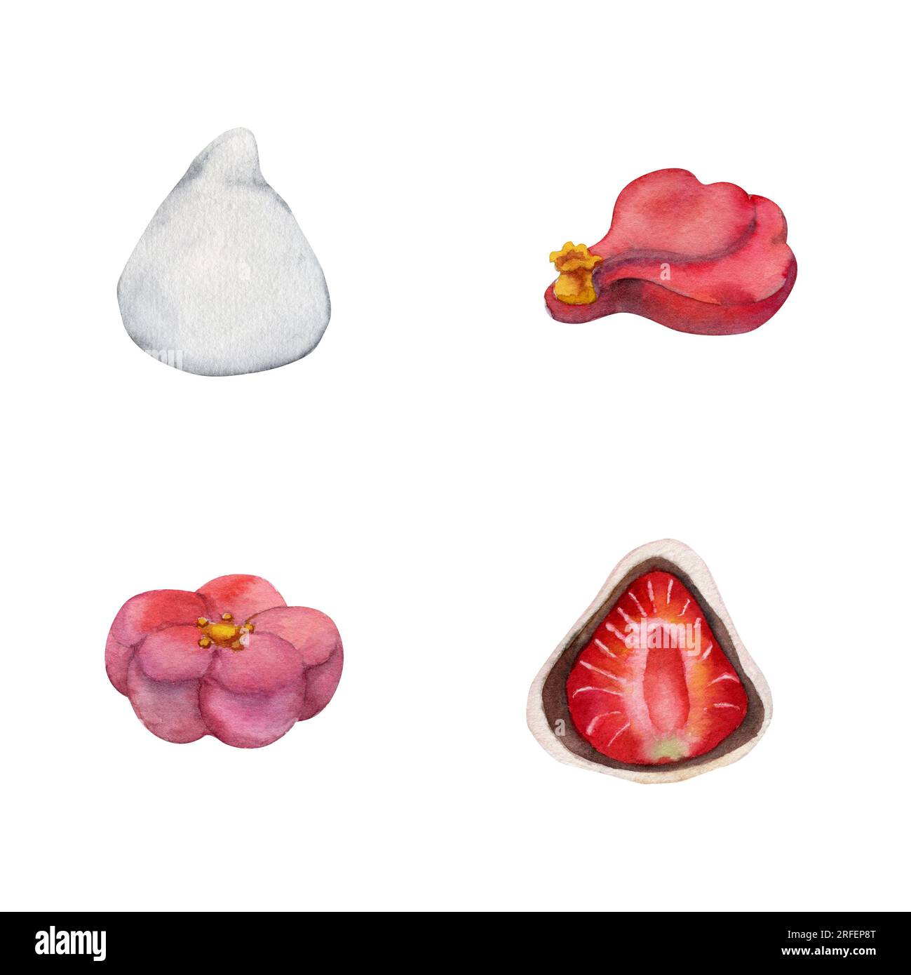 Watercolor hand drawn traditional Japanese sweets. Winter wagashi ...
