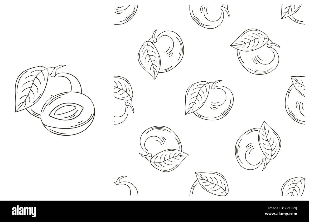 Coloring pattern with tropical fruits. Set in hand draw style. Longan ...