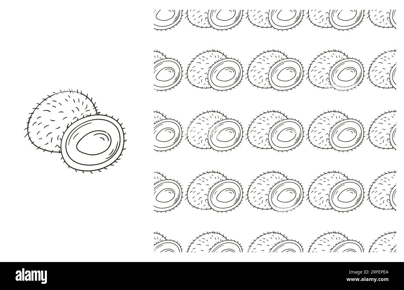 Rambutan. Coloring pattern with tropical fruits. Set in hand draw style ...