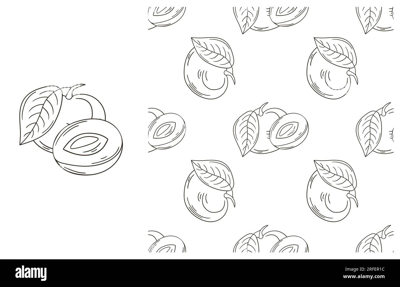Coloring pattern with tropical fruits. Set in hand draw style. Longan ...
