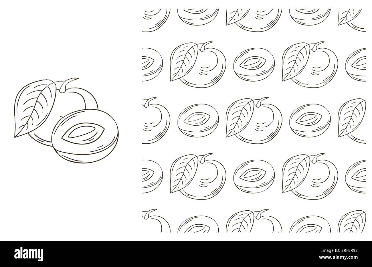 Longan. Coloring pattern with tropical fruits. Set in hand draw style ...