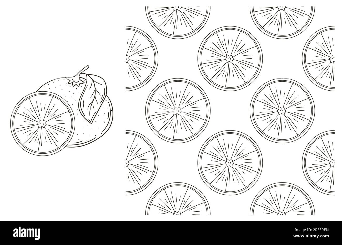 Oranges. Coloring pattern for kitchen, restaurant or shop. Set in hand ...