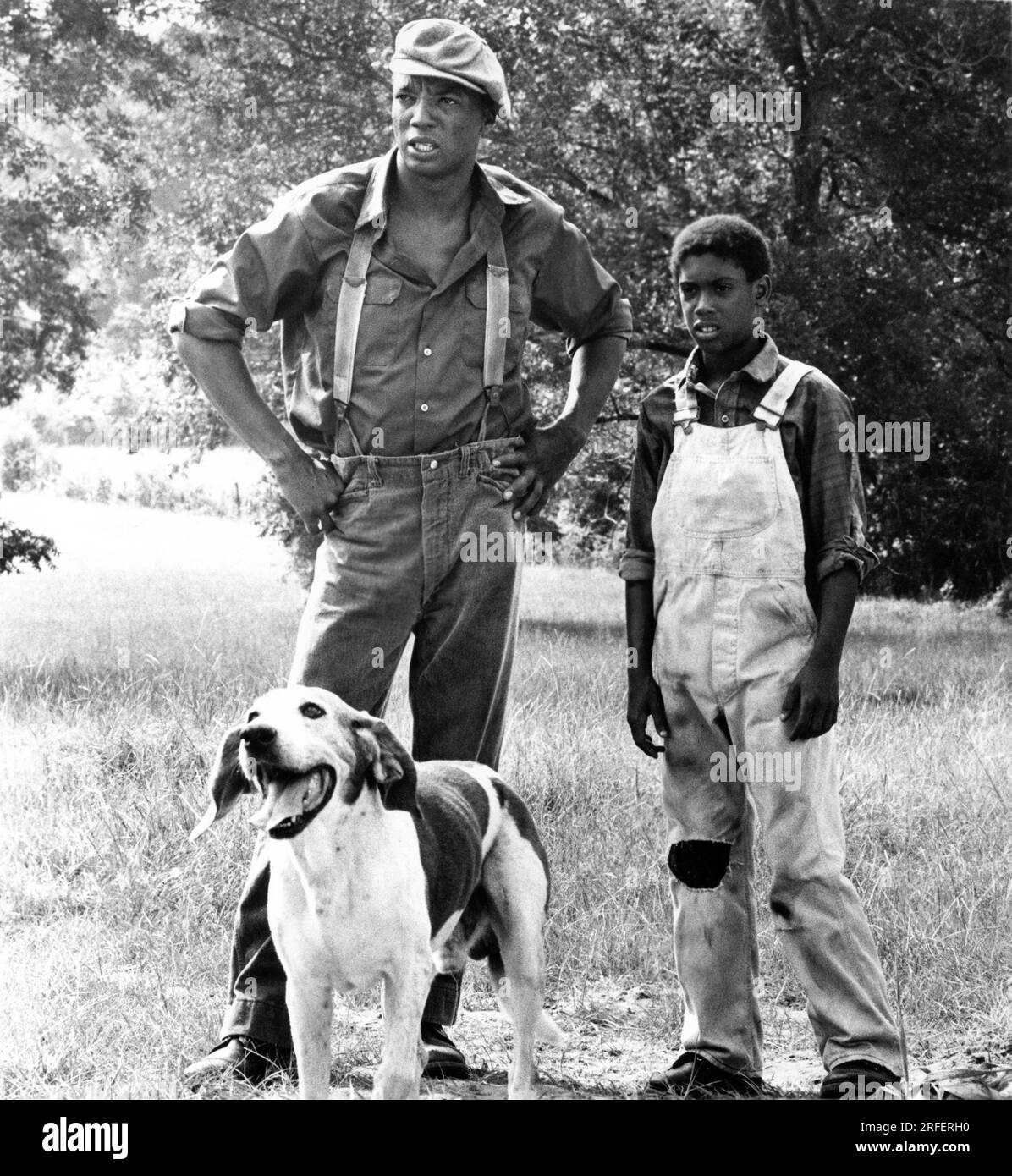 PAUL WINFIELD and KEVIN HOOKS and their dog Sounder in SOUNDER 1972 ...