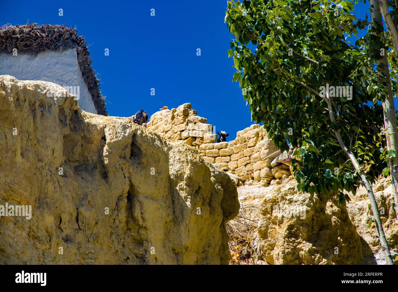 Chhoser Jhong aka Sky Cave a man made cave area in desert of Upper ...