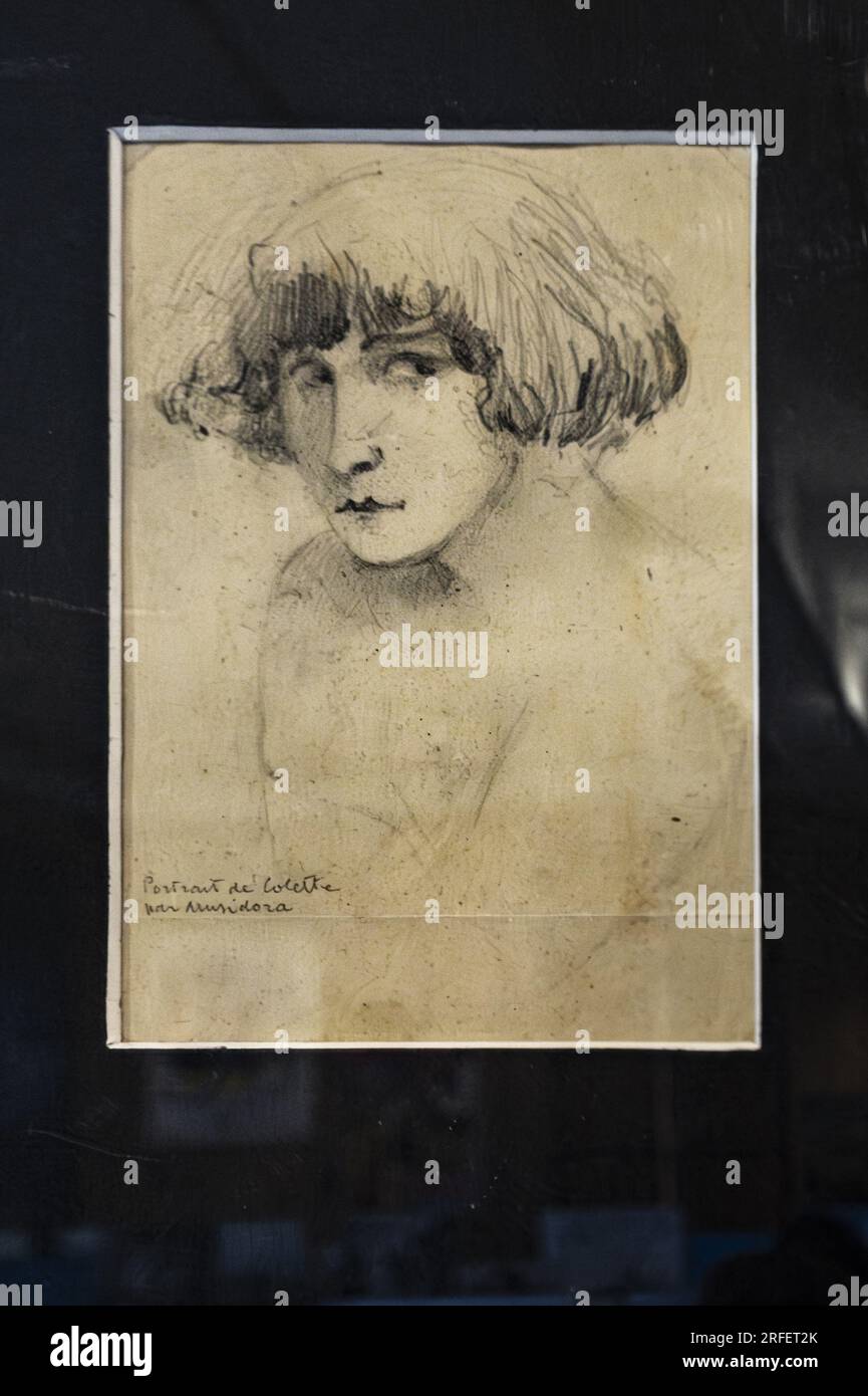 France, Yonne, Saint-Sauveur-en-Puisaye, Musée Collette created on the ...