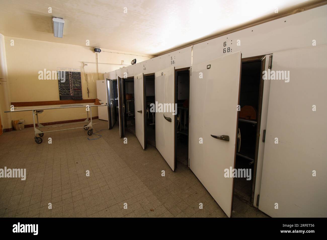 The doors left ominously open. PARIS, FRANCE: HUMAN BONES and organs ...