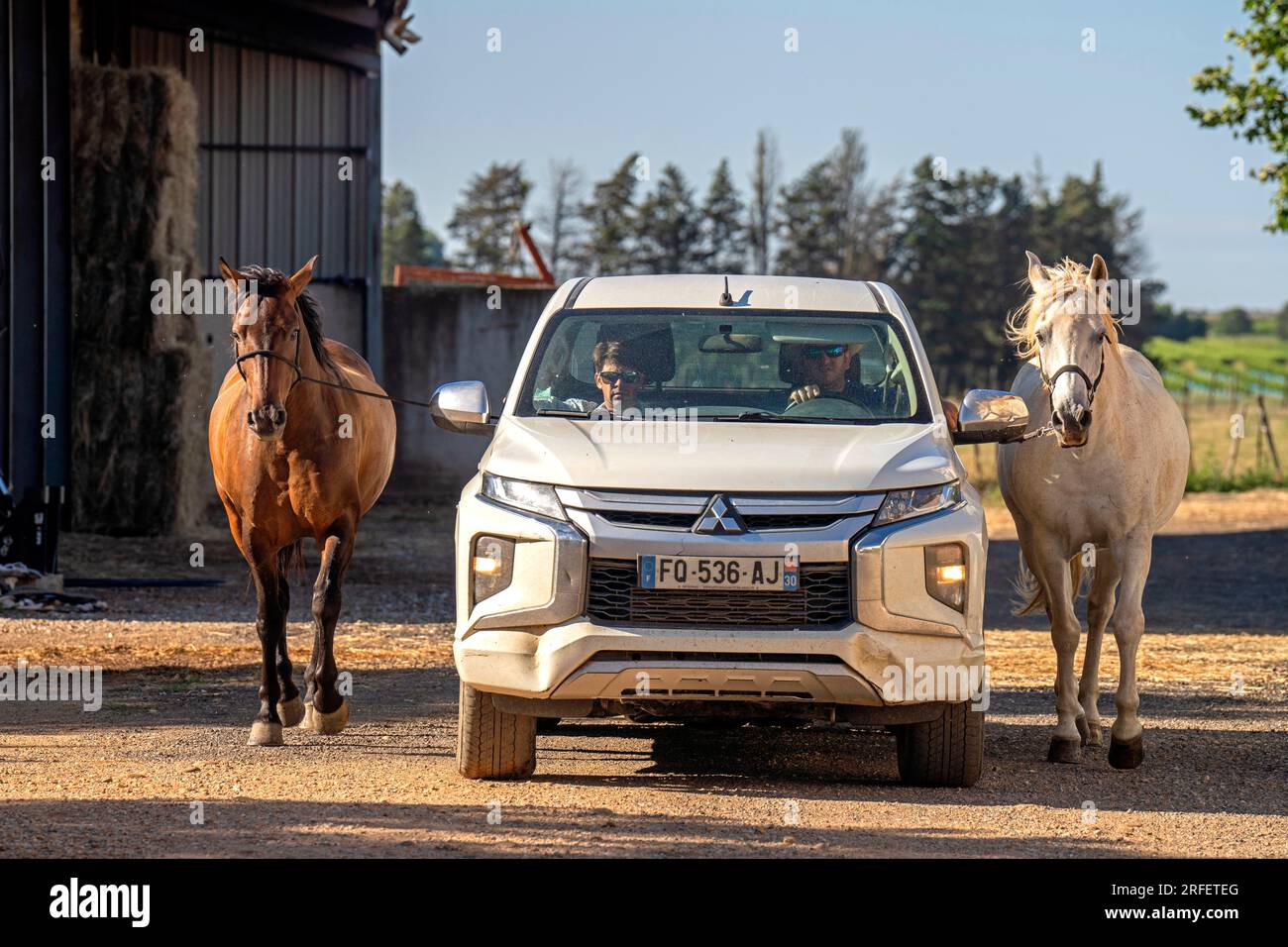 France, Gard, Generac, manade Cuille Stock Photo - Alamy