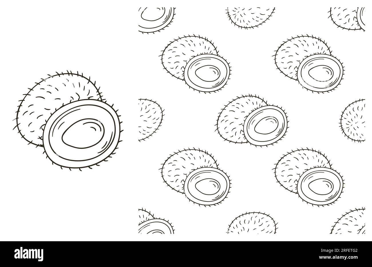 Coloring pattern for kitchen, restaurant or shop. Rambutan. Set in hand ...