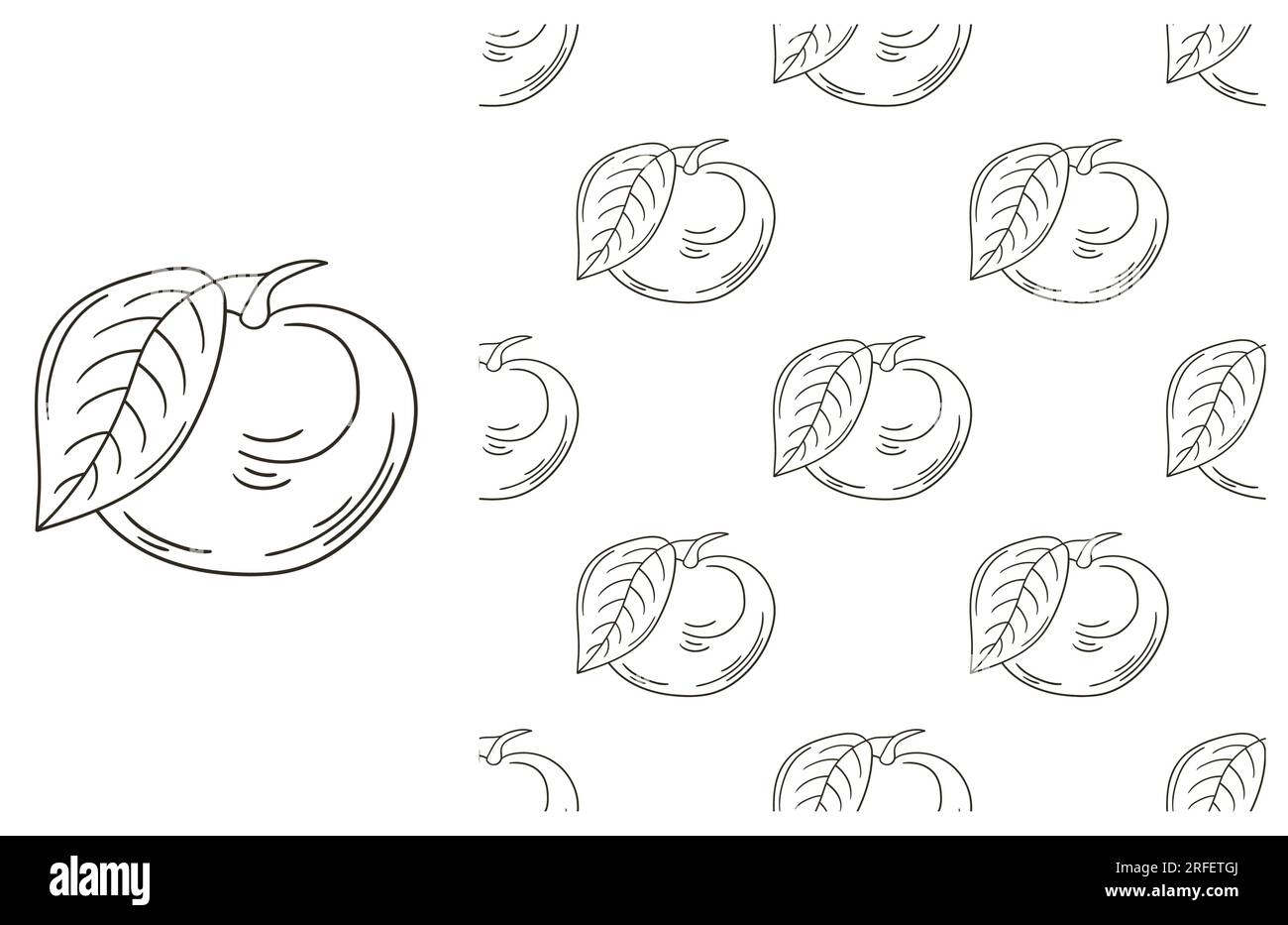 Longan. Coloring pattern with tropical fruits. Set in hand draw style ...