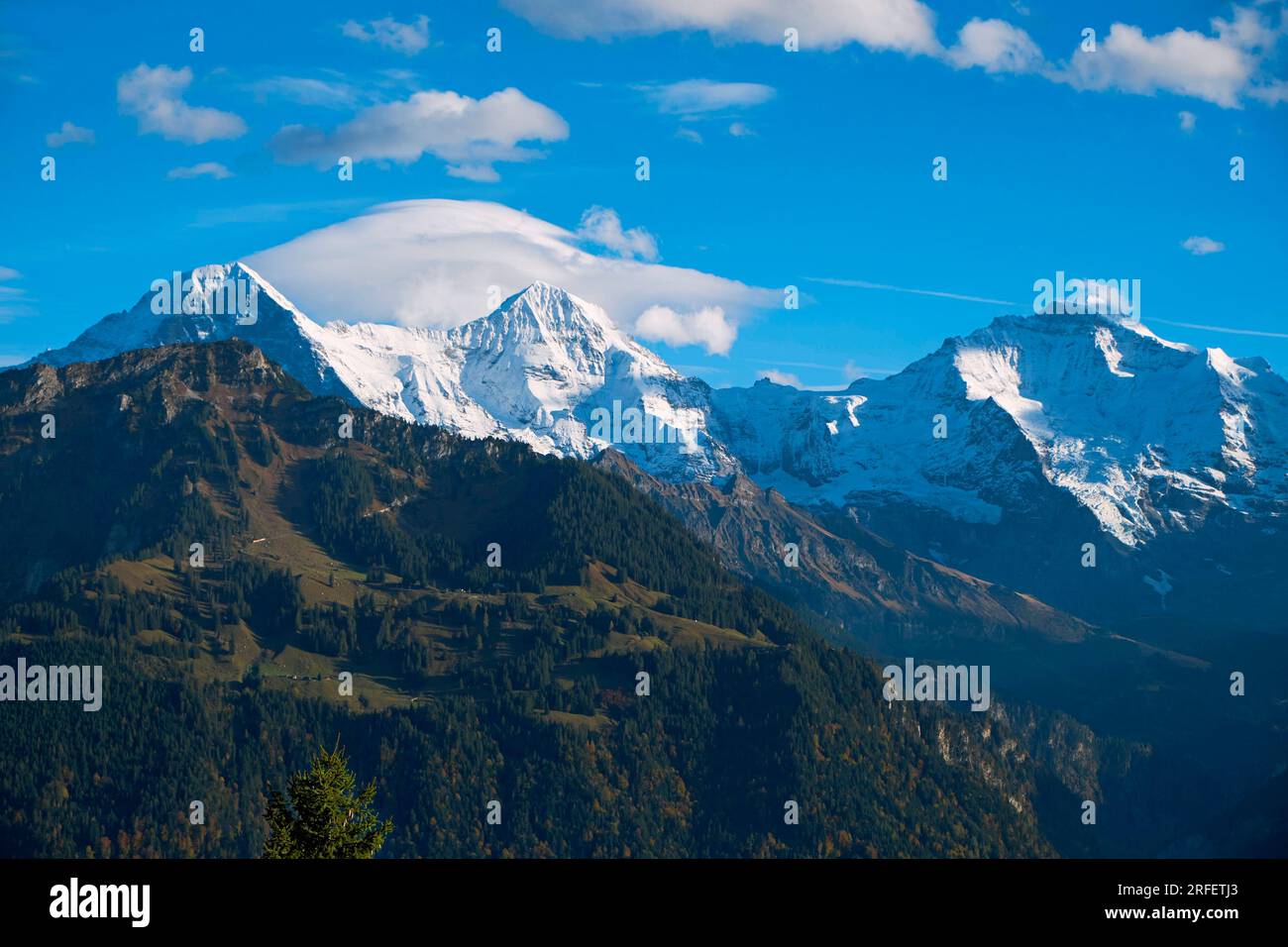 Switzerland, canton of Berne, Interlaken, Harder Kulm, from left to right, Viewpoint on the ...
