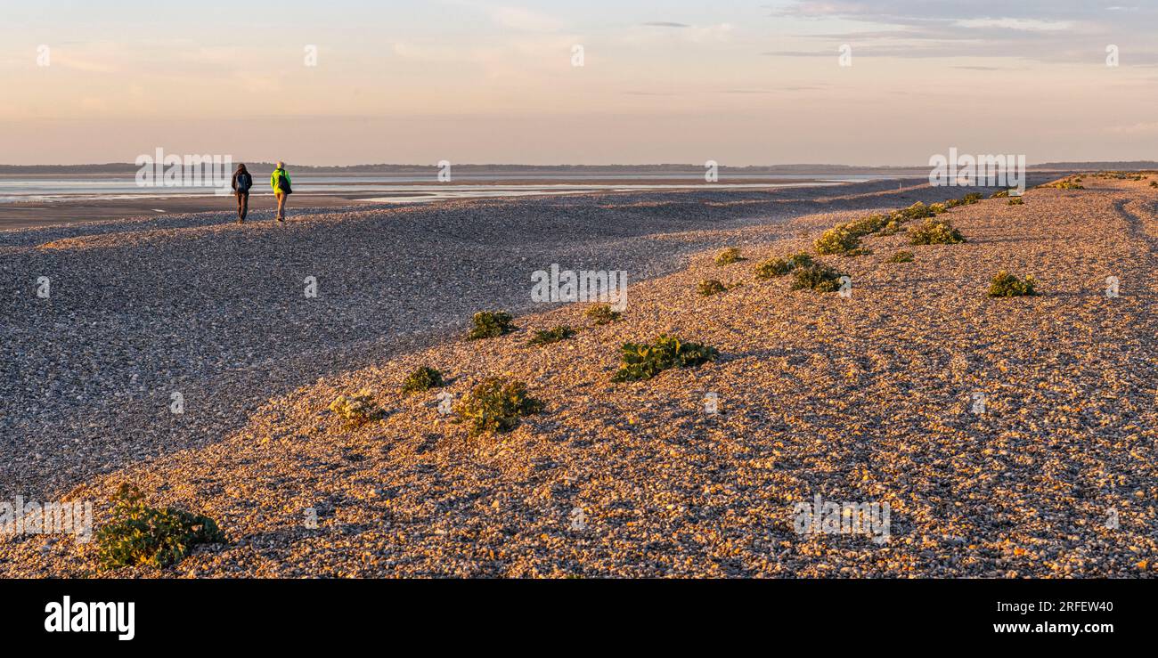 France, Somme, Baie de Somme, Cayeux-sur-mer, La Mollière d'Aval ...