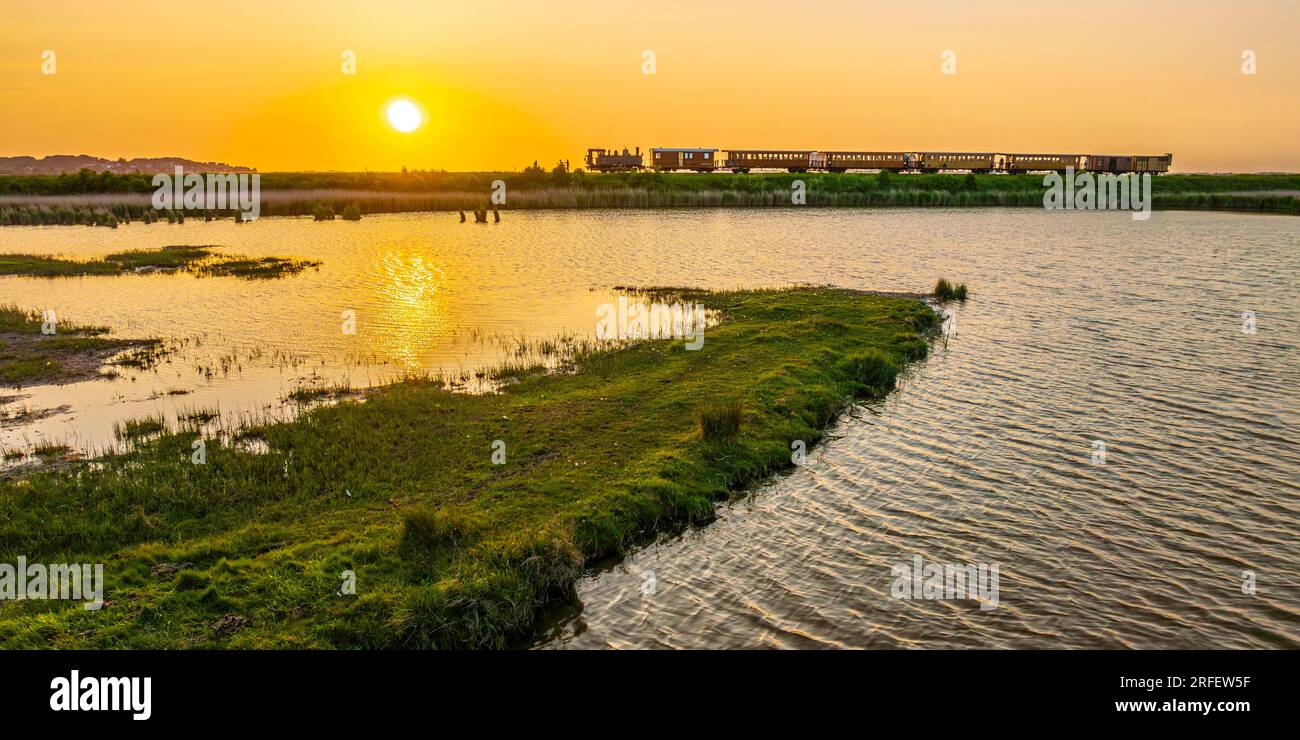France, Somme, Baie de Somme, Noyelles-sur-mer, The little train of the ...