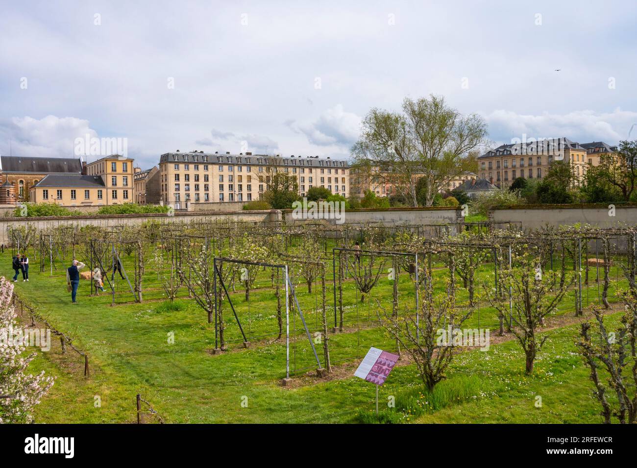 France, Yvelines, Versailles, UNESCO World Heritage Site, the king’s ...