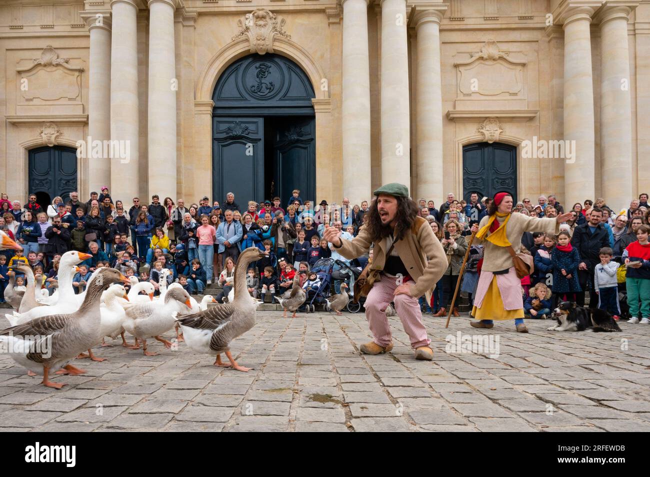 France, Yvelines, Versailles, Saint Louis district, Festival of plants ...