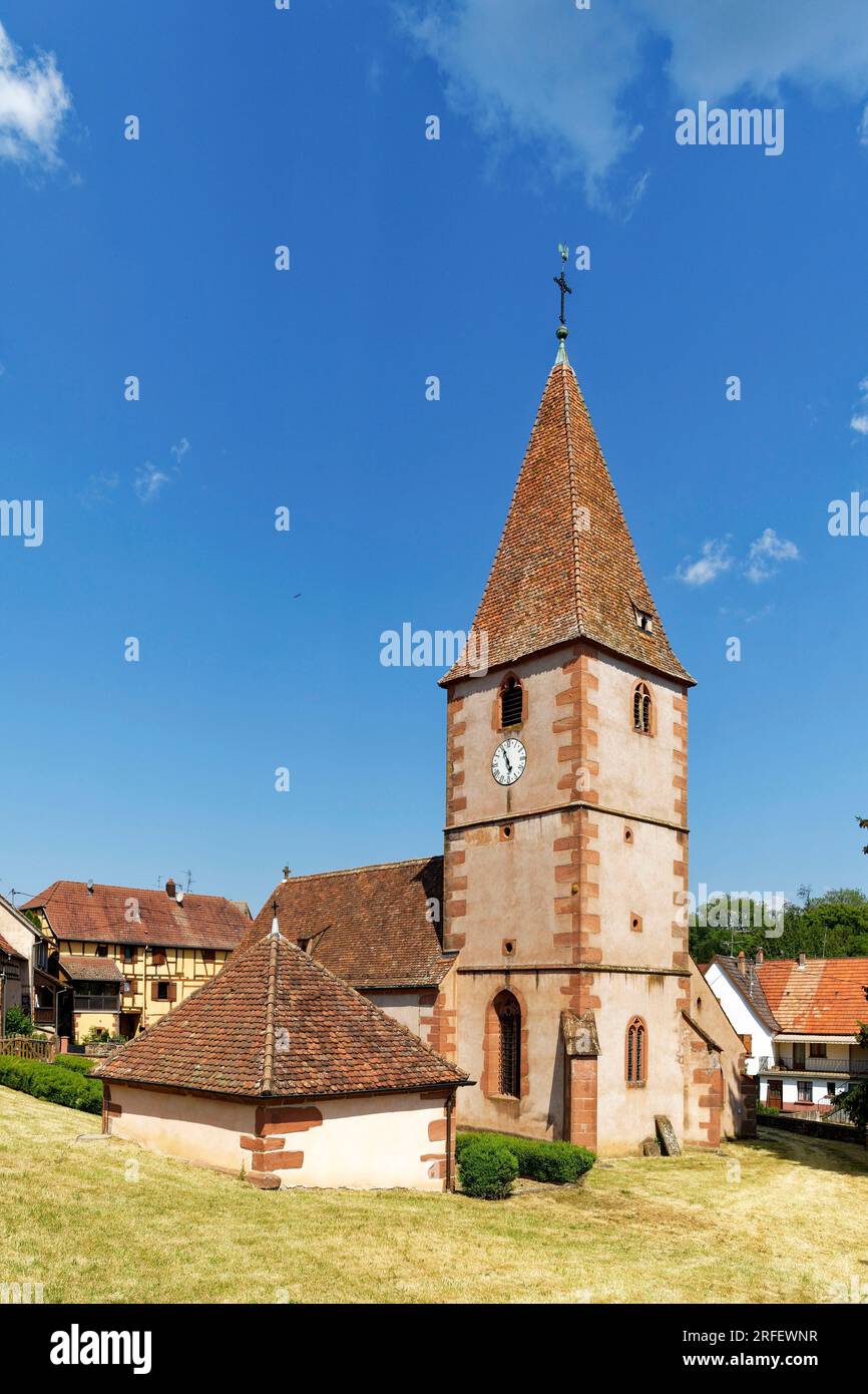 France, Bas Rhin, Parc regional des Vosges du nord (Northern Vosges ...