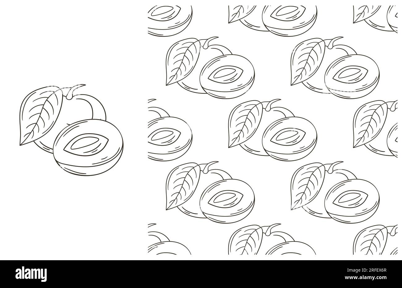 Coloring pattern with tropical fruits. Set in hand draw style. Longan ...