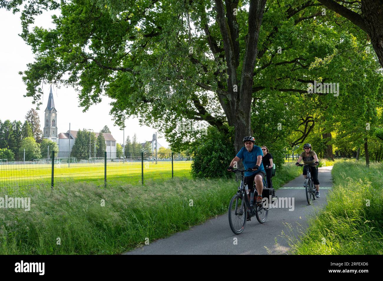 Austria, Vorarlberg, Bregenz, cyclists on the Lake Constance cycle path ...