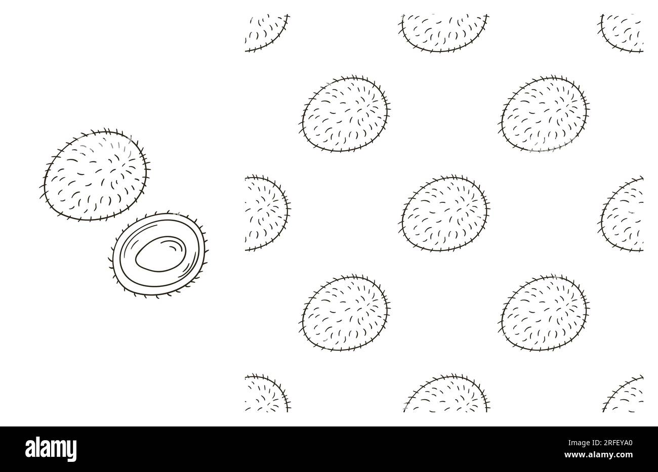 Rambutan. Coloring pattern for kitchen, restaurant or shop. Set in hand ...