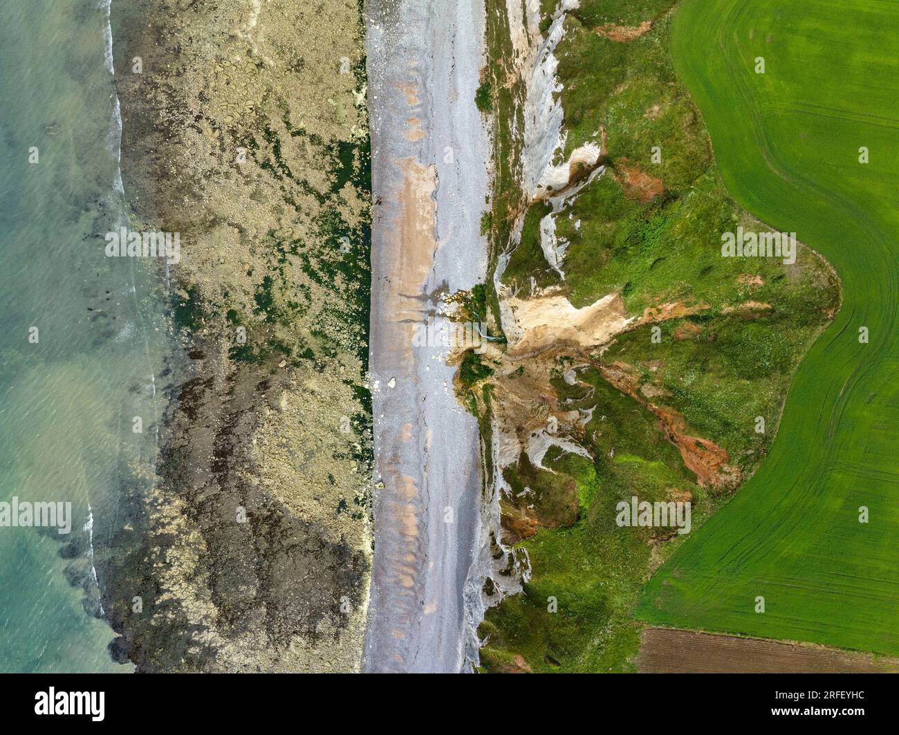 France, Normandy, Seine Maritime, Saint Leonard, Valleuse de Grainval ...