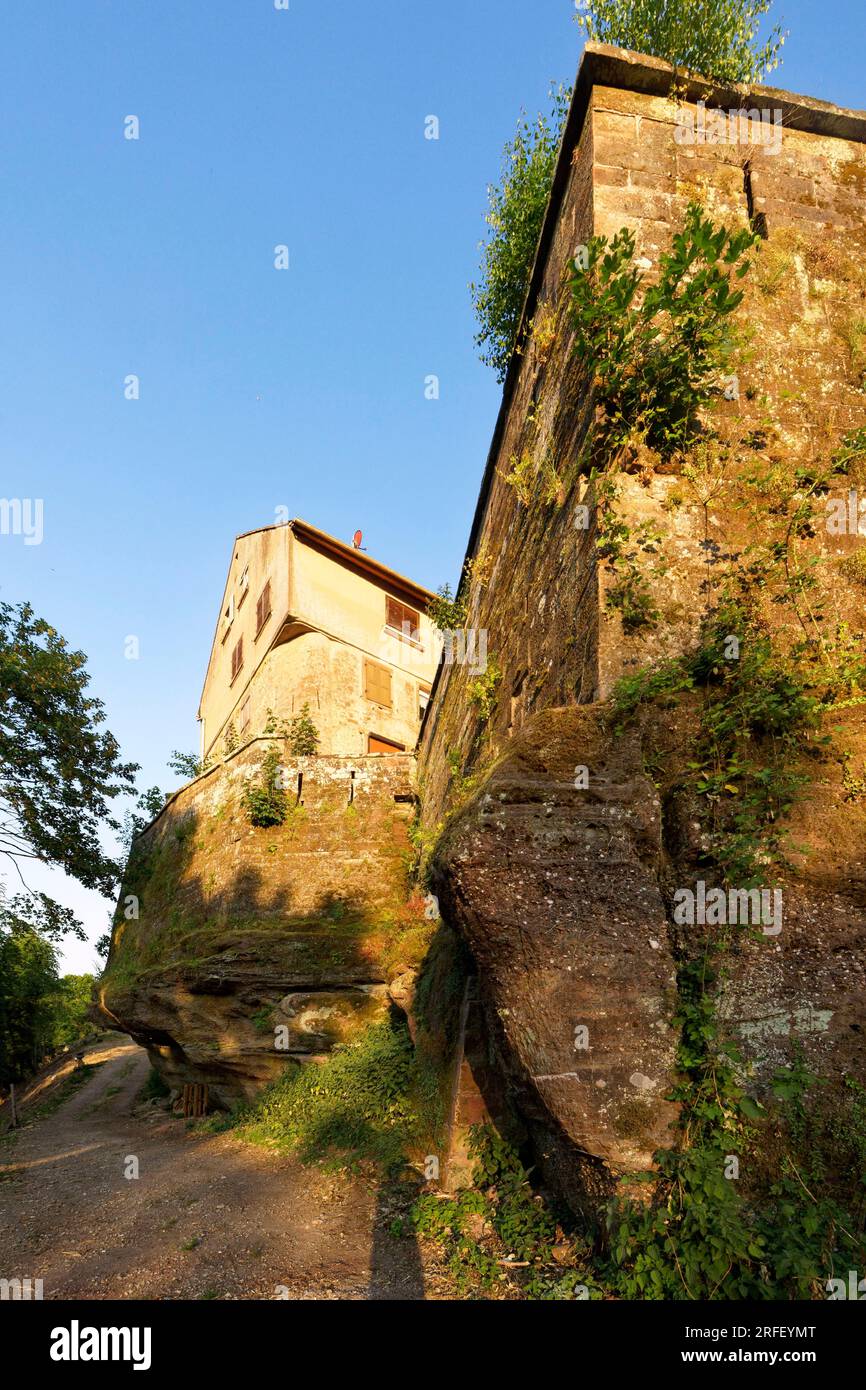 France, Bas Rhin, Parc regional des Vosges du nord (Northern Vosges ...