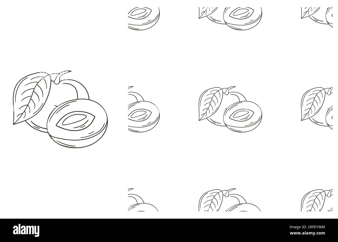 Longan. Coloring pattern with tropical fruits. Set in hand draw style ...