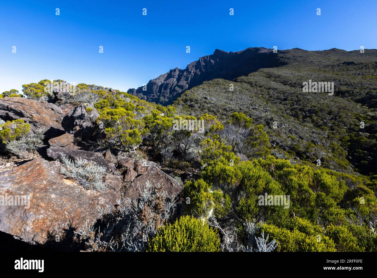 France, Reunion Island, Reunion National Park listed as World Heritage ...