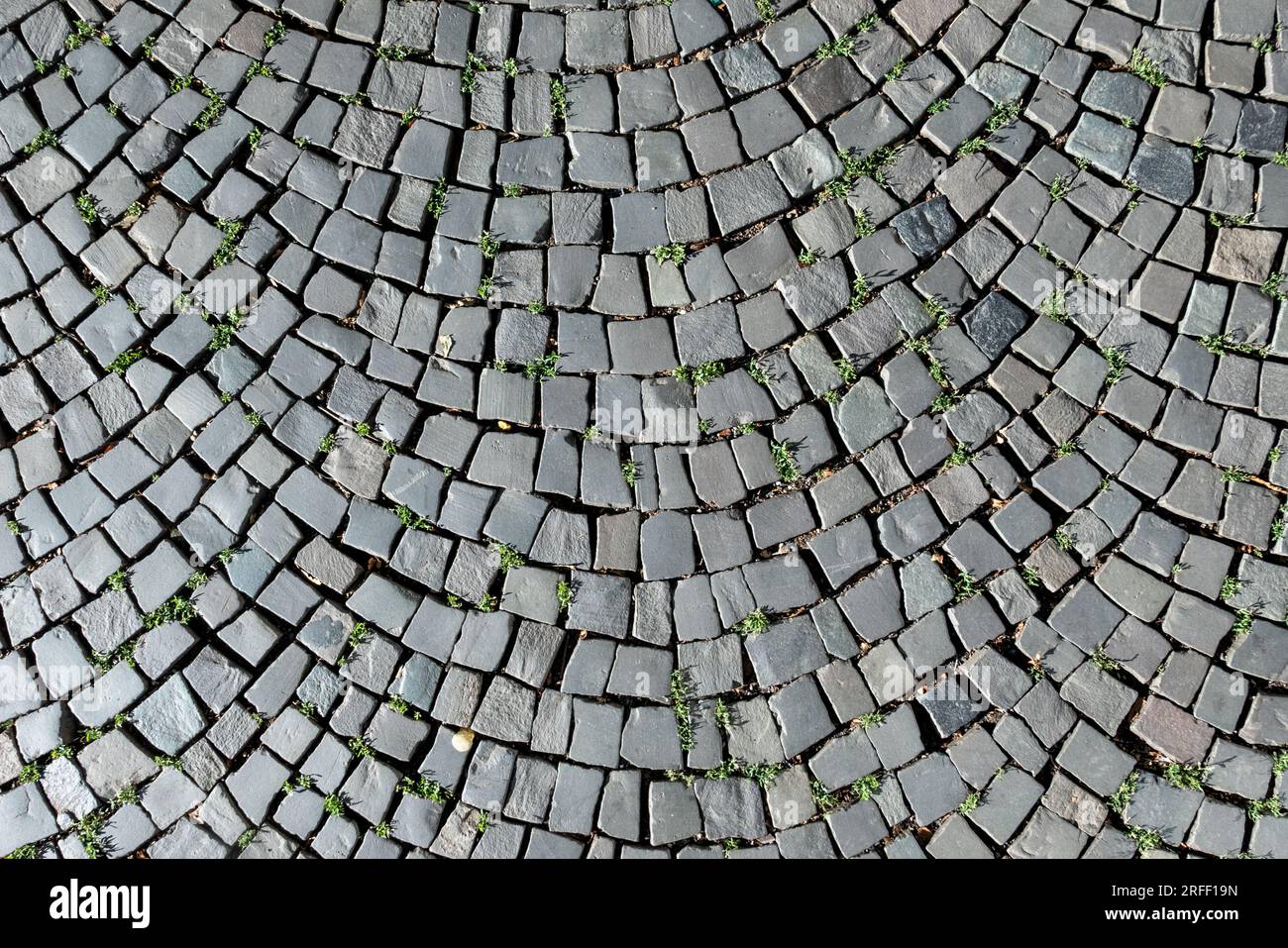 harmonic pattern of paved cobble stone walkway Stock Photo - Alamy
