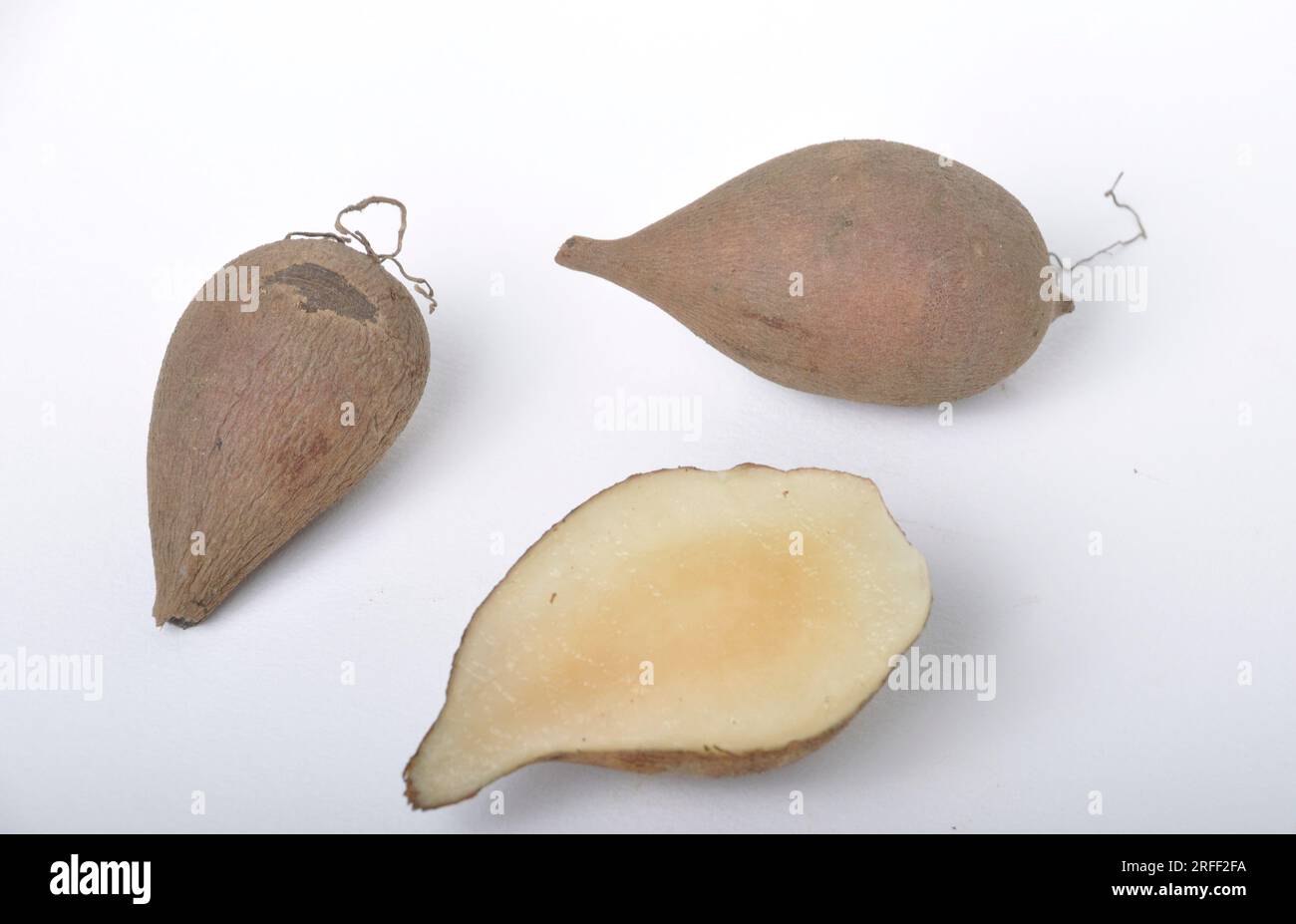 Yacon roots on a white background Stock Photo - Alamy