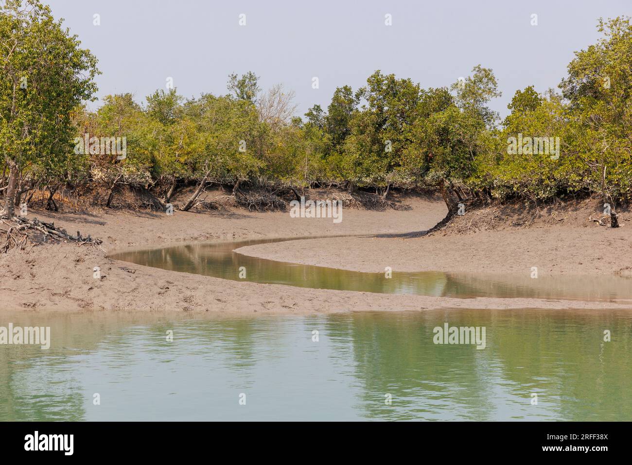 India, Bay of Bengal, Ganges Delta, Sunderbans, low tide on an arm of ...
