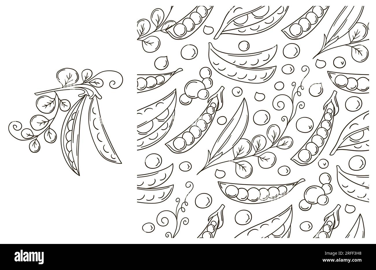 Can of sweet peas Stock Vector Images - Alamy