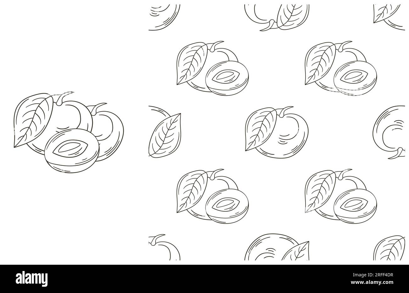 Coloring pattern with tropical fruits. Longan. Set in hand draw style ...