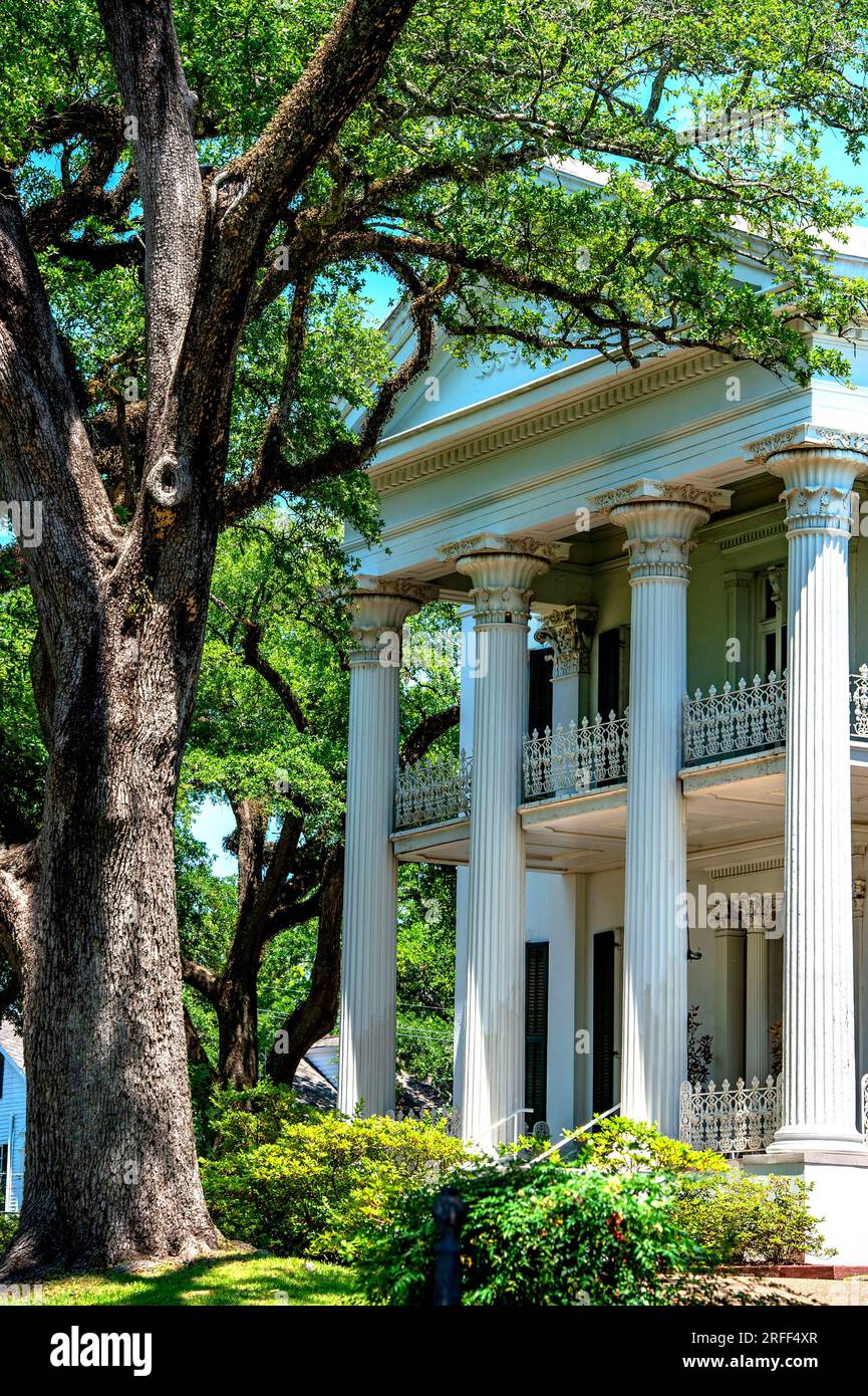 Stanton hall hi-res stock photography and images - Alamy