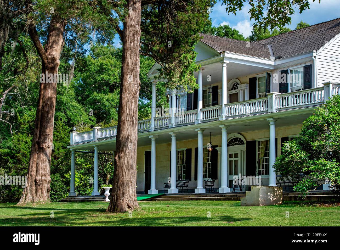 Linden house hi-res stock photography and images - Alamy