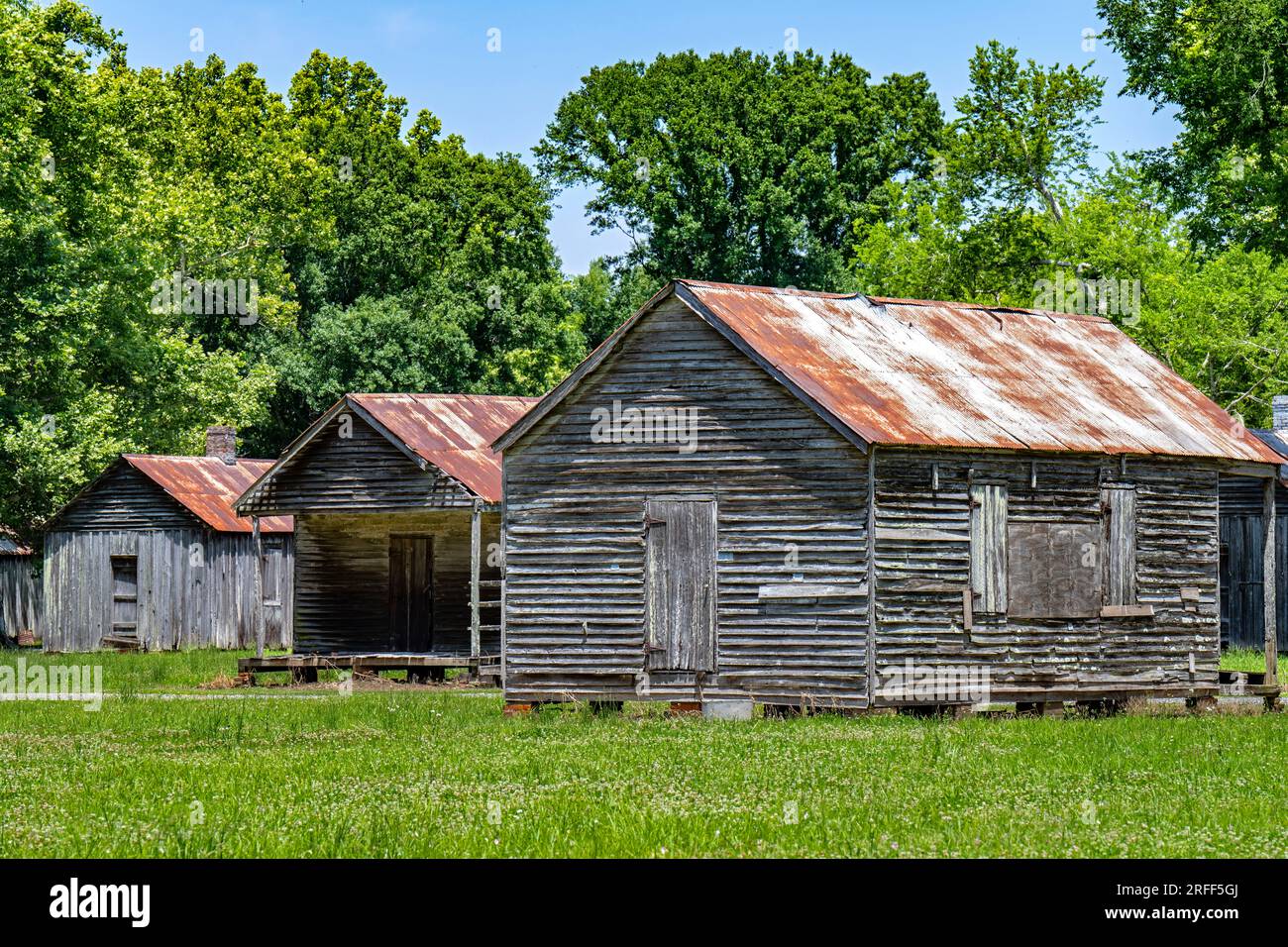 United States, Louisiana, Thibodaux, Laurel Valley Plantation Stock ...