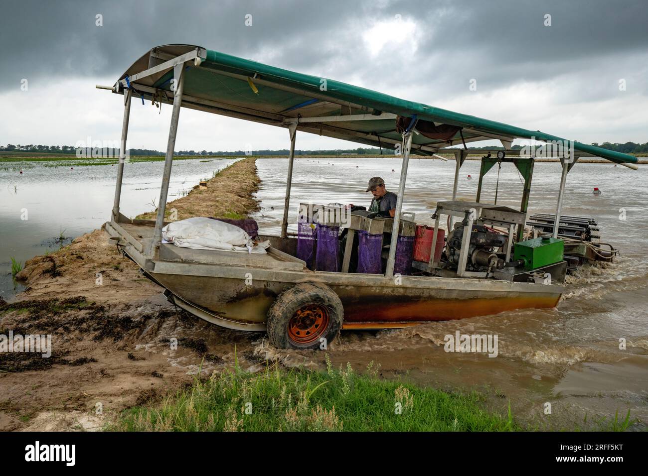 United States, Louisiana, Kaplan, Barry Toups, crayfish farmer Stock ...